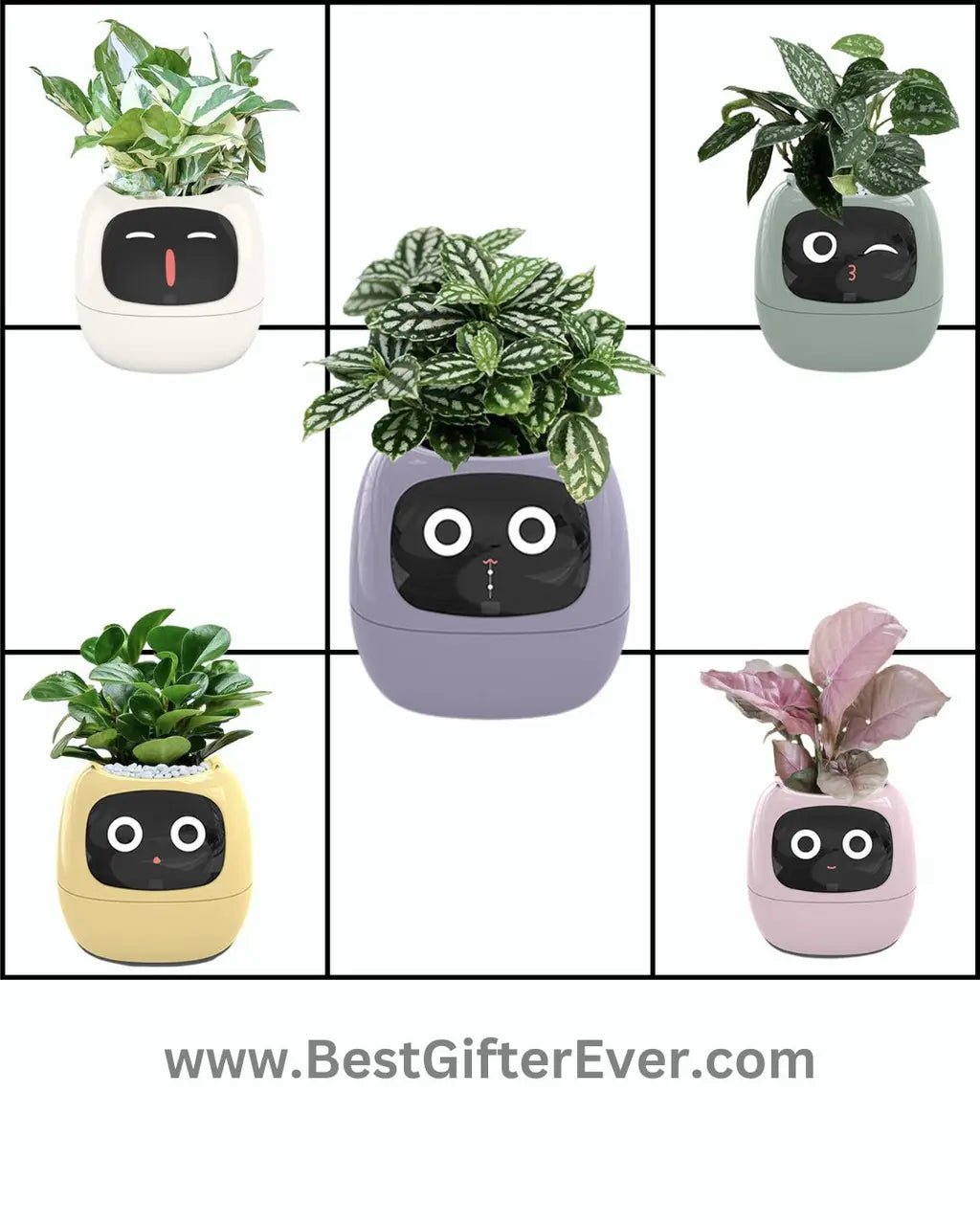 Family Oriented Fun Gifts: Unique Ideas for Every Member – Best Gifter Ever